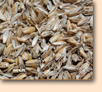 Die Ernte wird gedroschen